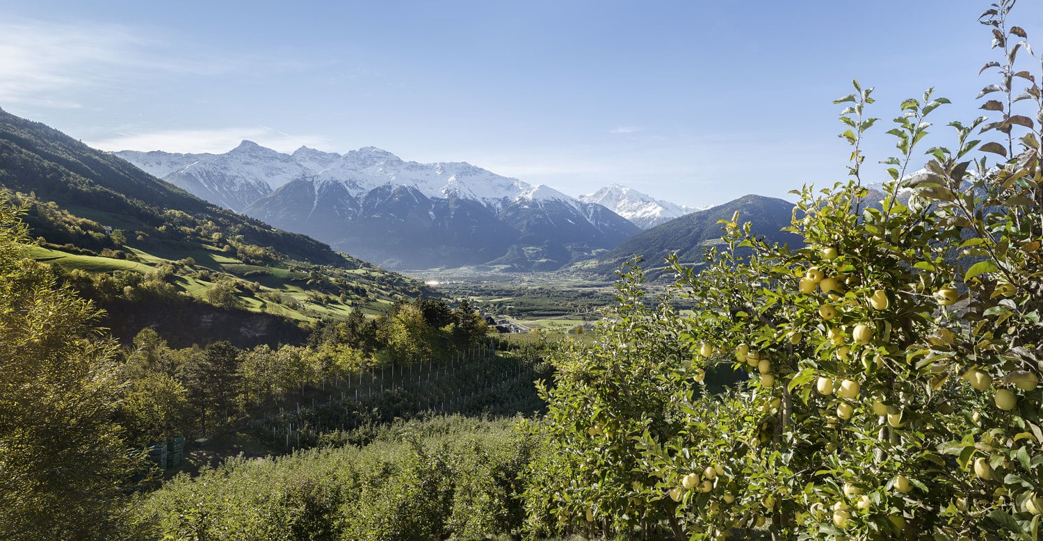Vinschgau Südtirol - Vinschgau Äpfel