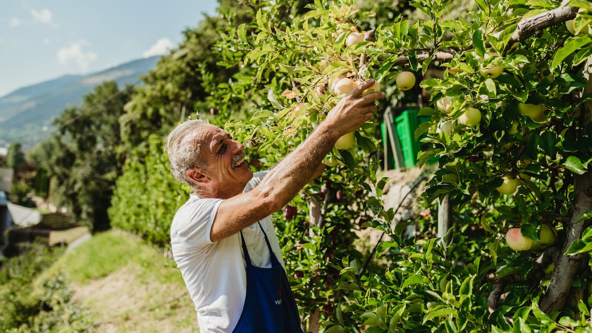 Tappeiner Paul Heinrich - Mela Val Venosta