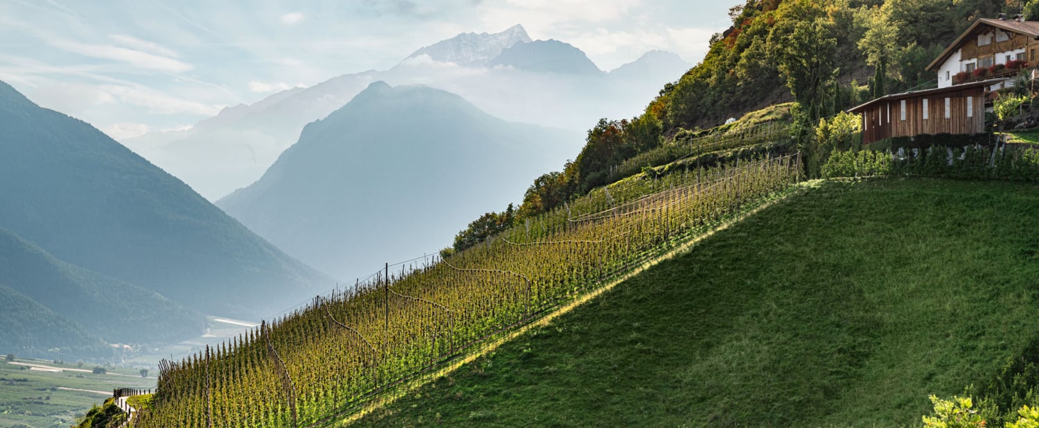 The future of apple production in Val Venosta - VIP Coop. soc. agricola
